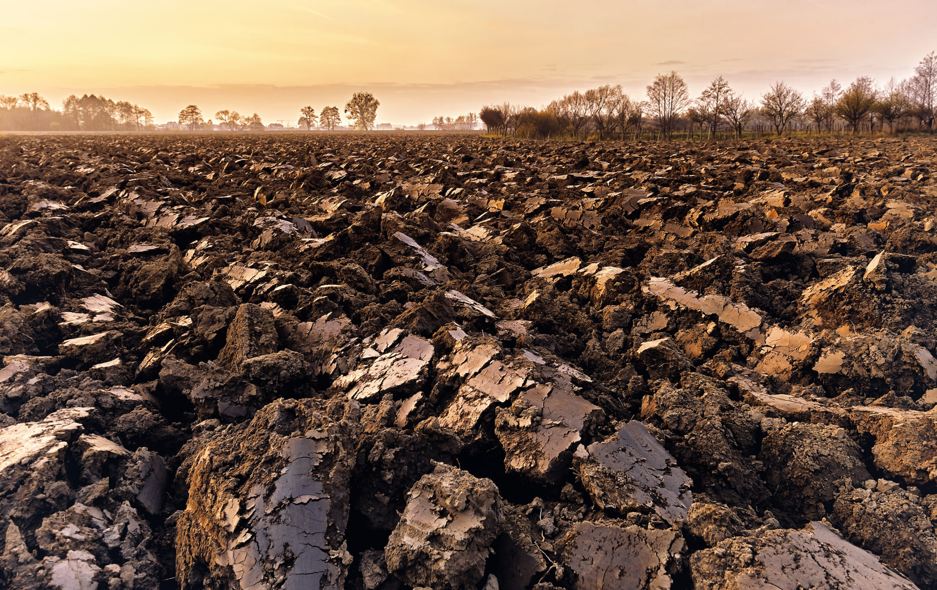 Intro: Fascinating Soils! - AgtechThinking - technology ...